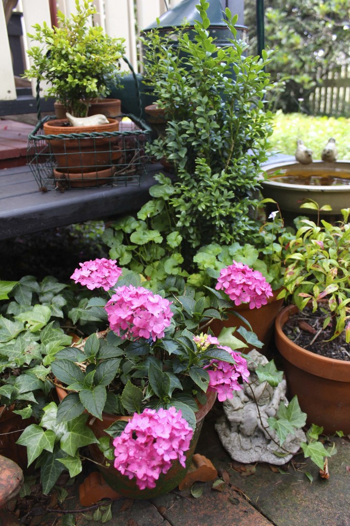 Home | Rick Rutherford's Country & Design