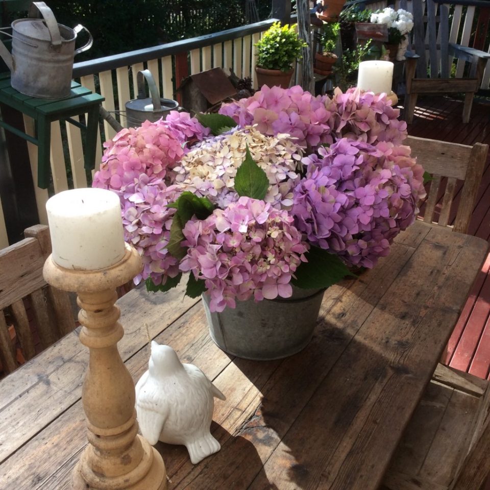 Lessons Of A Lifetime | Rick Rutherford's Country & Design