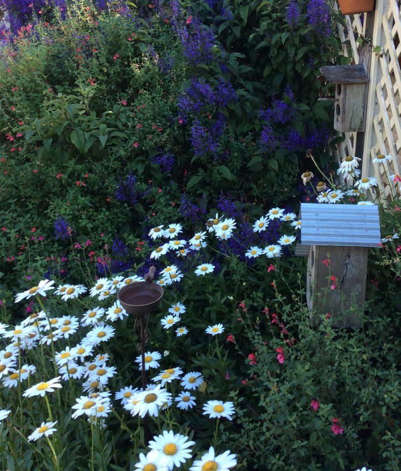 Recent Ramblings | Rick Rutherford's Country & Design