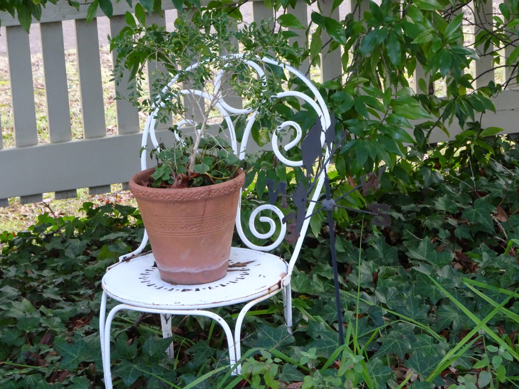 Going Forward – Looking Back | Rick Rutherford's Country & Design