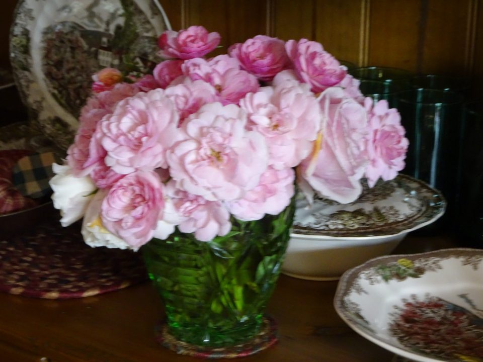 Rick Rutherford's Country