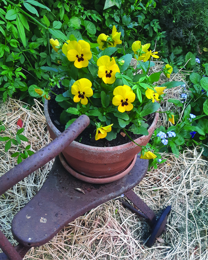 And That’s What Friends Are For … | Rick Rutherford's Country & Design