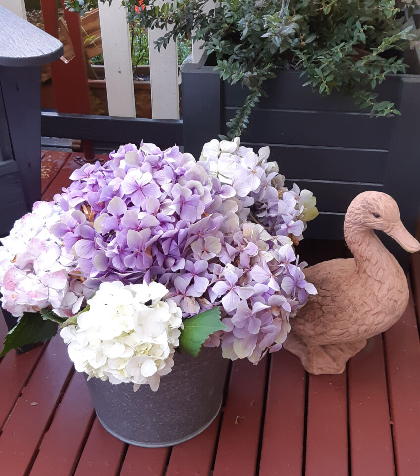 Rick Rutherford’s Country