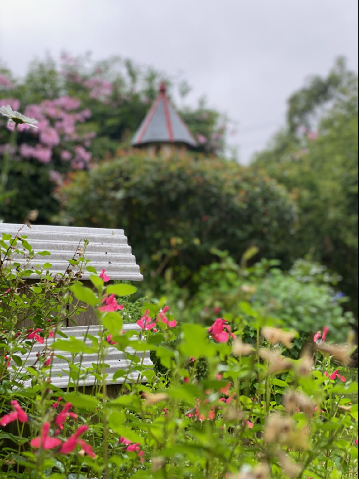 Rick Rutherford’s Country