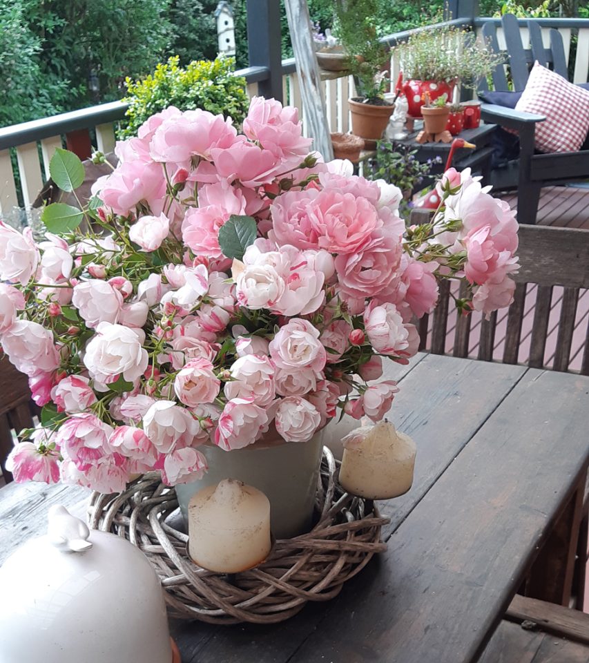 Rick Rutherford’s Country