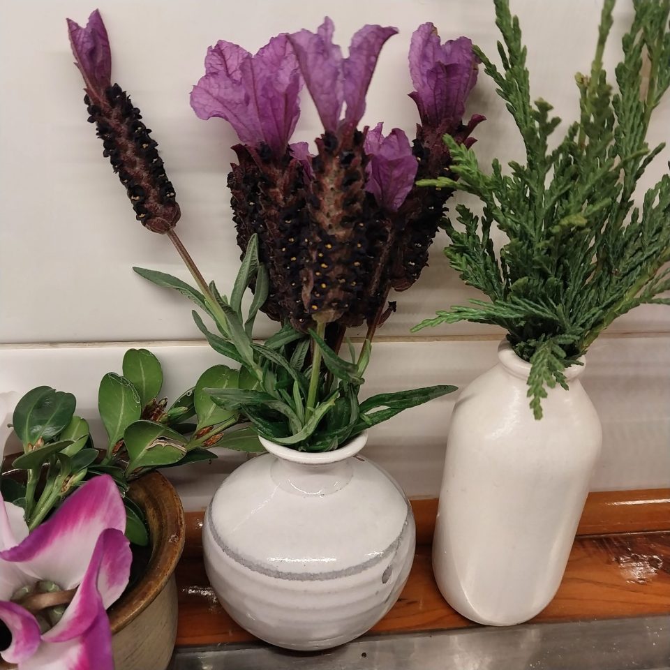 Rick Rutherford’s Country