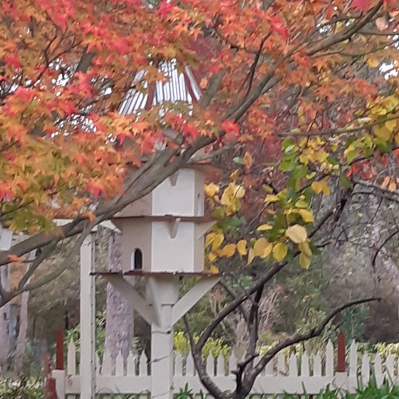 Rick Rutherford’s Country