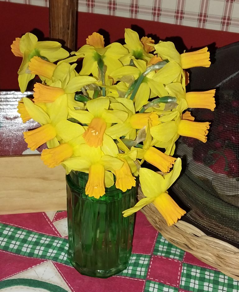 Rick Rutherford’s Country